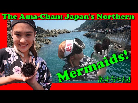 あまちゃん! Japan's Northern Mermaids: Female Free-Divers for Seafood!