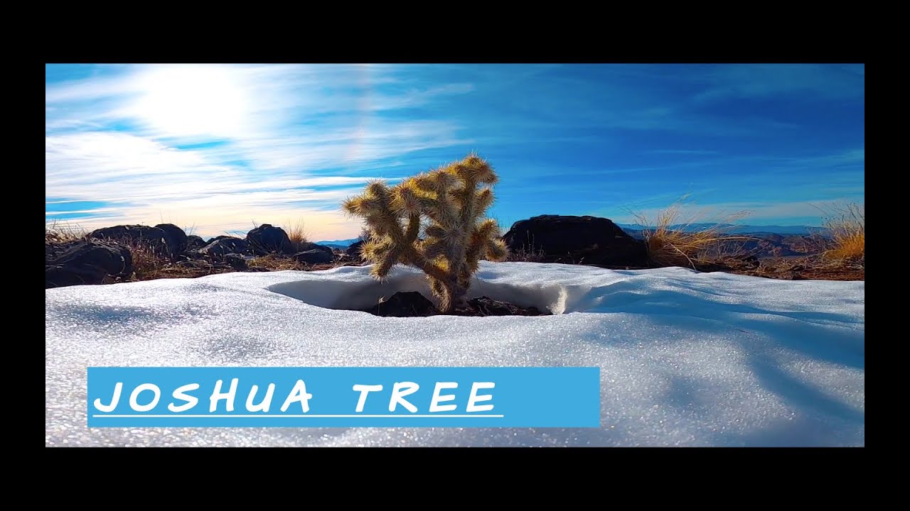 Joshua Tree Whirlwind Weekend