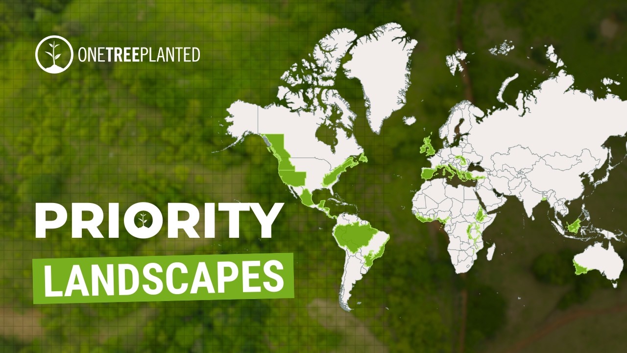 Transforming Global Landscapes | One Tree Planted