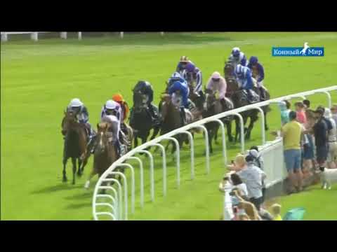 Epsom Derby 2019 - Anthony Van Dyck