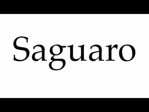 How to Pronounce Saguaro
