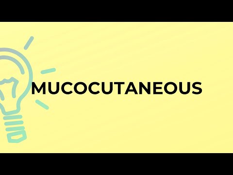 What is the meaning of the word MUCOCUTANEOUS?