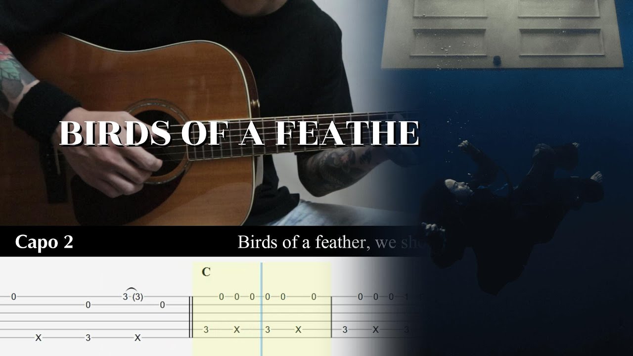 BIRDS OF A FEATHER - Billie Eilish - Fingerstyle Guitar TAB Chords