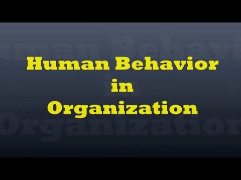 Human Behavior in Organization