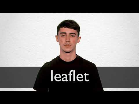 LEAFLET 释义 | 柯林斯英语词典