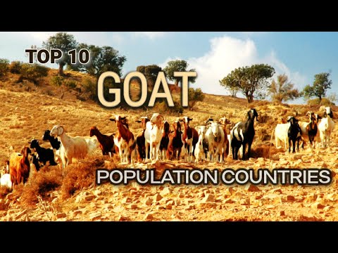 Top Ten Countries in Goat Population