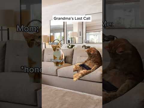 Cat memes Grandma’s Last Call #cat #catmemes #relatable