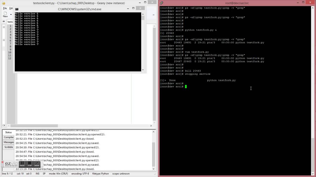 python forking tcp server