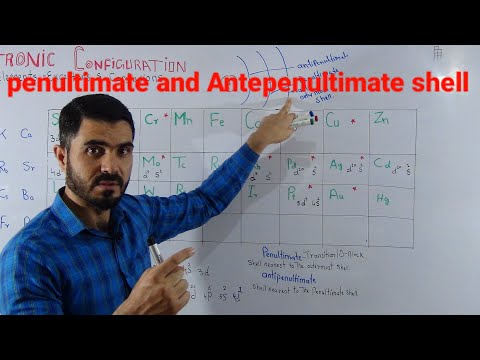 L-4 Penultimate and antepenultimate Shells // why these term are used?