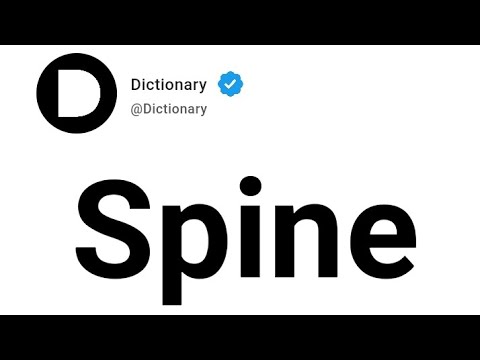 Spine Meaning In English