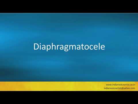 Pronunciation of the word(s) "Diaphragmatocele".