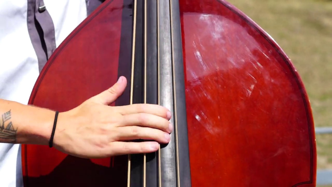 Visualizing vibrations on singing strings on double bass