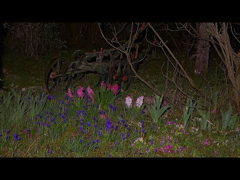 Niwalker ES3 Beamshot CRI compare (GT FC-40 4500/5500K, CREE XHP 70 5000k, luminus SST-20)