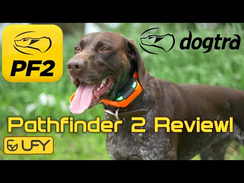 Dogtra Pathfinder 2 Detailed Review | First Impressions | Discount Code!
