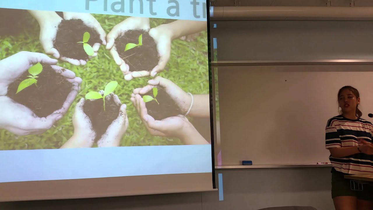 Prezi climate change solutions 'reforestation'