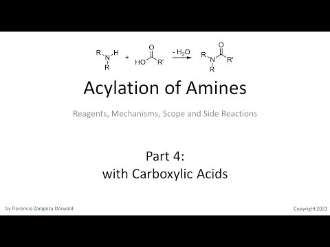 Acylation of Amines, Part 4: with Carboxylic Acids