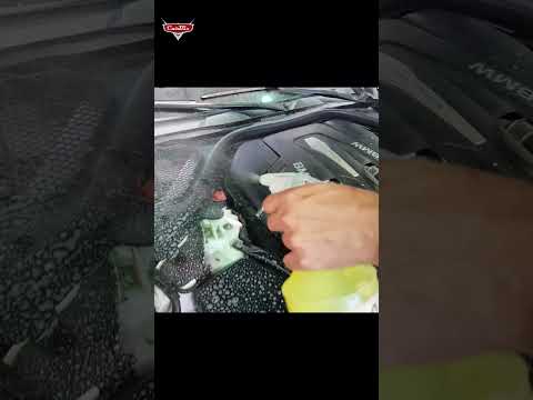 Engine Bay Degreasing & Shine Restoration For BMW 740i