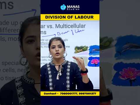 What is division of labour #shorts #facts #biology