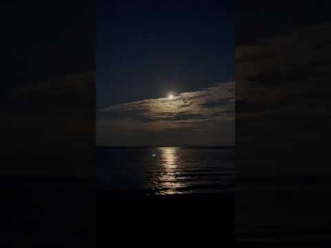 Video of Kleinke Park Campground, MI from Jaime N.