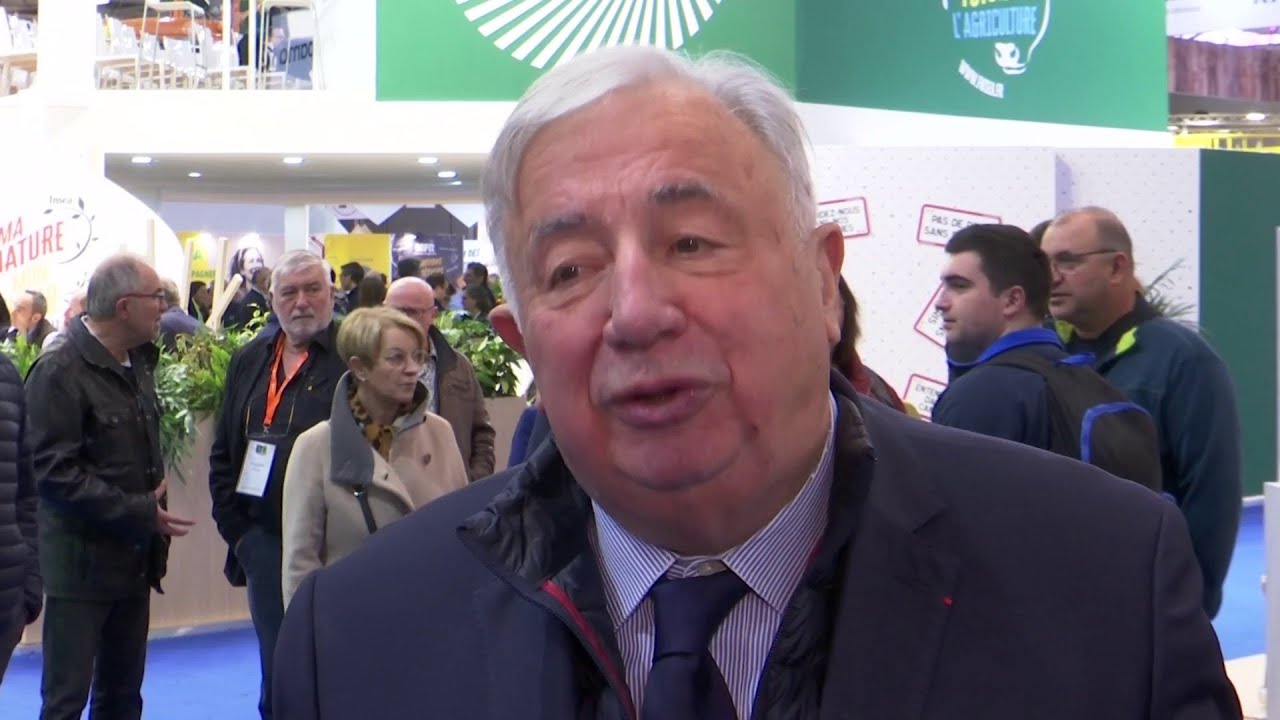 Tensions France-Algérie : la visite du Sénat au Sahara occidental « n’était orientée contre ...