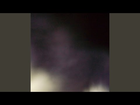 Glowworms & Fireflies