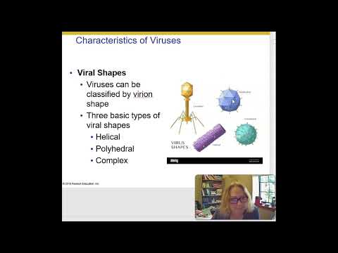 Microbiology Chapter 13 Viruses #1