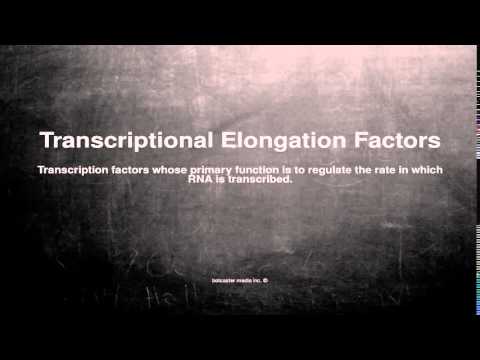 Medical vocabulary: What does Transcriptional Elongation Factors mean