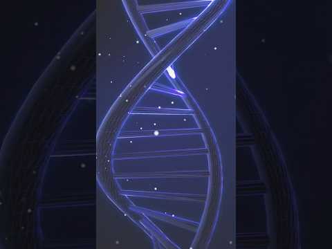 The term "GMO" stands for genetically modified organism. #DNA #dna