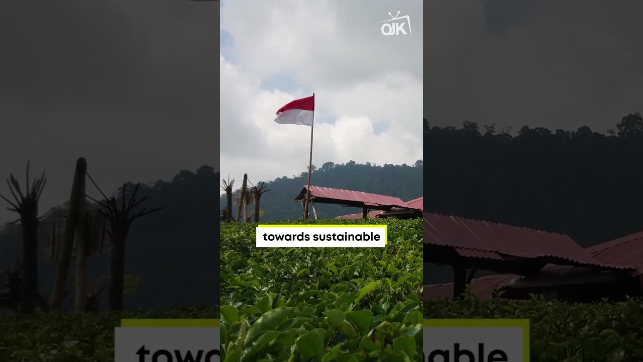 Menuju Indonesia 2045, OJK Dorong Bank Internalisasi Risiko Perubahan Iklim