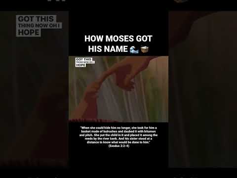 How Moses Got His Name🥹🧺#exodus #shorts #ytshort #bible #israel #christian #faith #god #fyp #name