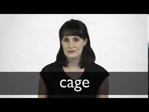 Spanish Translation of “CAGE” | Collins English-Spanish Dictionary
