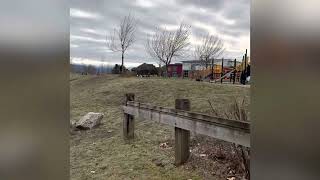 3 Best Public Parks in Abbotsford, BC - Expert Recommendations