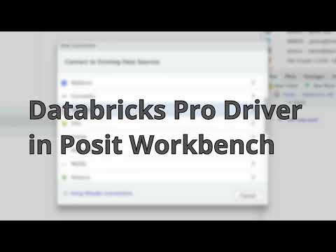 Databricks Pro Driver in Posit Workbench