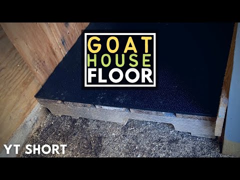 ADDING A FLOOR TO THE GOAT HOUSE