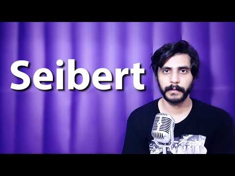 How To Pronounce Seibert