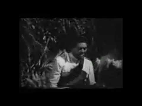 Tiger vs Lion - Common Knowledge Crossword Puzzles / Q & A accounts after the 50's staged fights 1