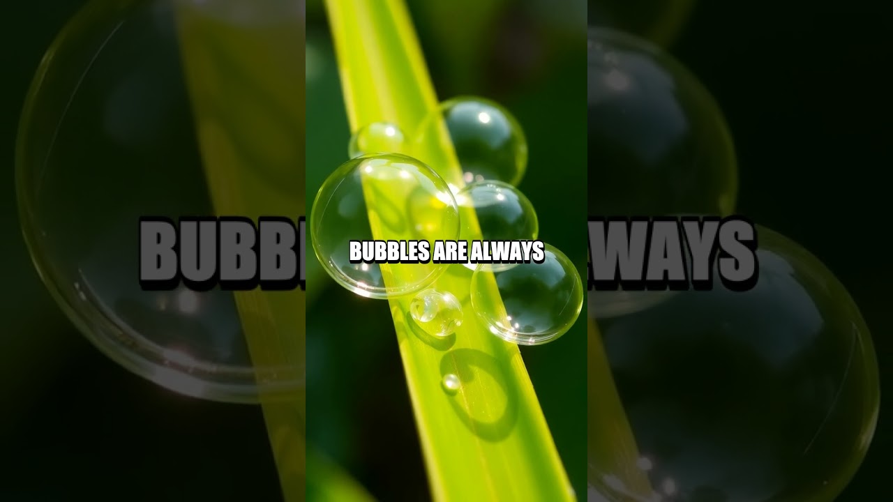 The Science of Bubbles