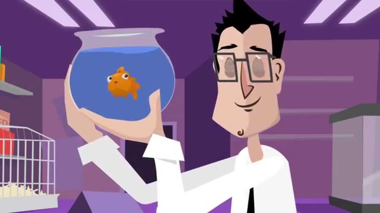 Grow Your Business with an Animated Explainer from Digital Brew