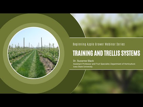 Beginning Apple Grower: Training & Trellis Systems