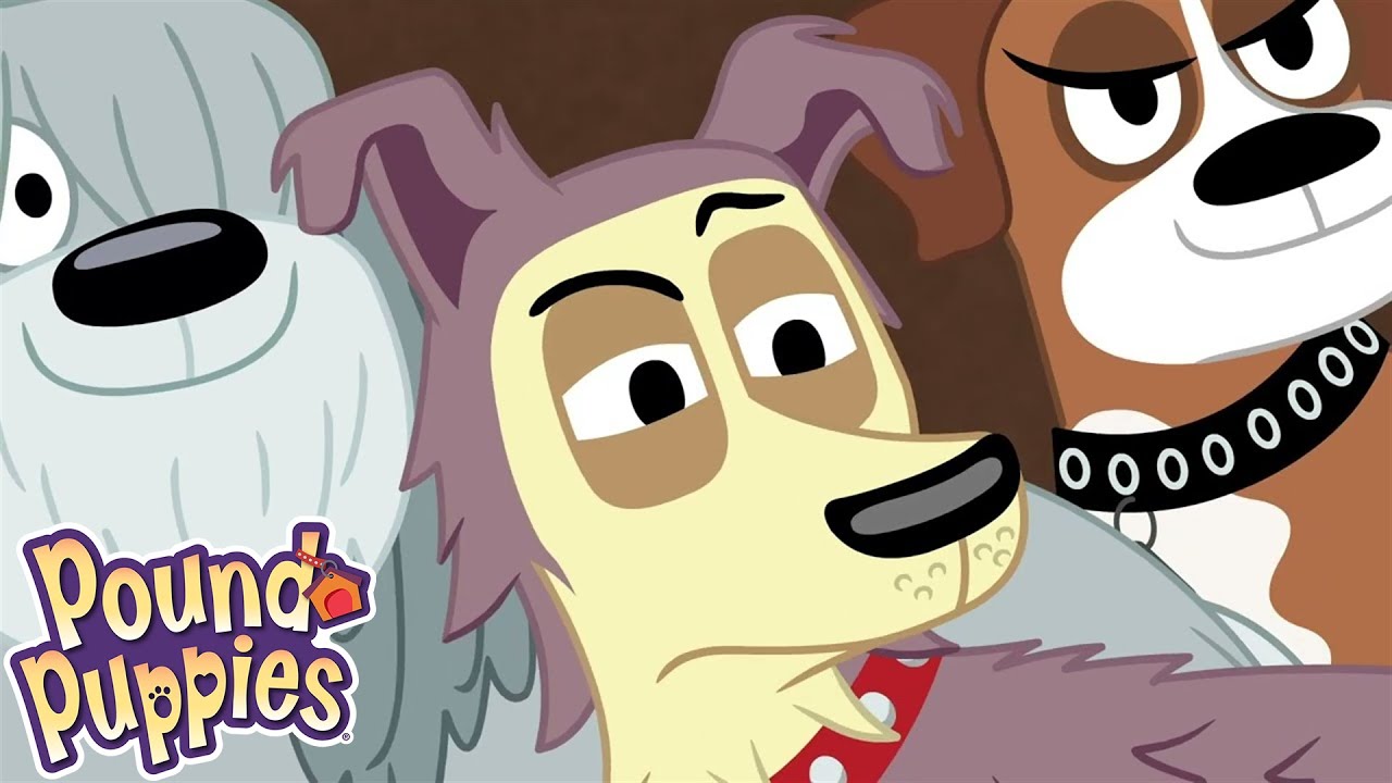 Pound Puppies | Kennel Kittens Return | COMPILATION | Season 1 | Pet Cartoon