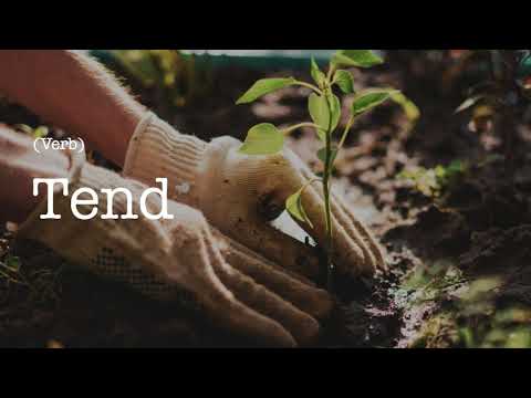 Word of the Day: Tend Meaning | The Urban Prodigy | GRE | SSC | SSB | TOEFL