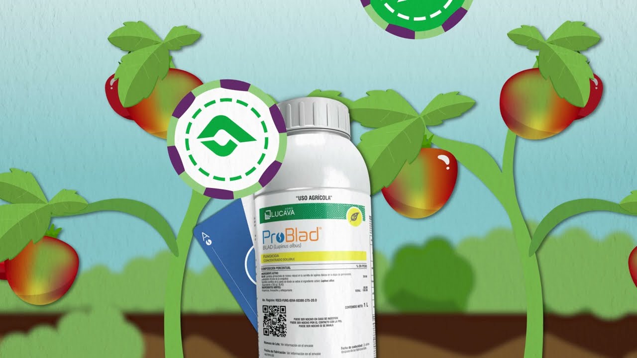 PROBLAD ¡Tu as bajo la manga contra los hongos! - ORGANAGRO