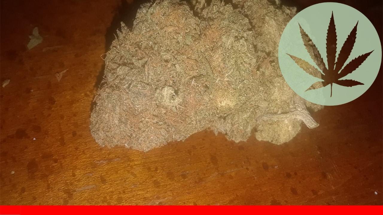 Alien Dawg - All About This Strain