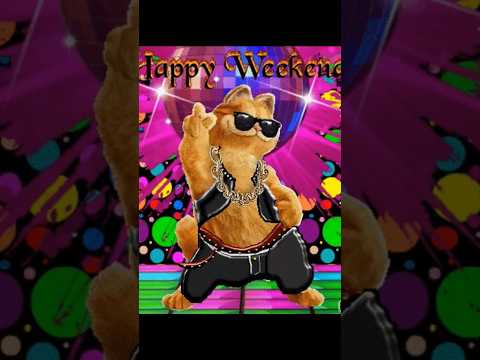 100 million views| Dancing cats | It's party time #viral #meme #music #dance #catlover #catvideos