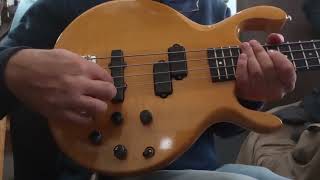 Pedulla MVP - What To Know & Where To Buy | Equipboard