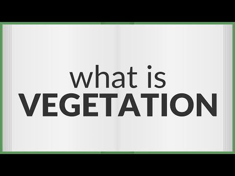 Vegetation | meaning of Vegetation