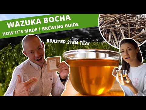 How to brew Roasted Stem Tea - Obubu Tea - Wazuka Bocha