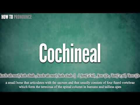 Cochineal Pronunciation | How to Pronounce (say) Cochineal CORRECTLY | Meaning Definition