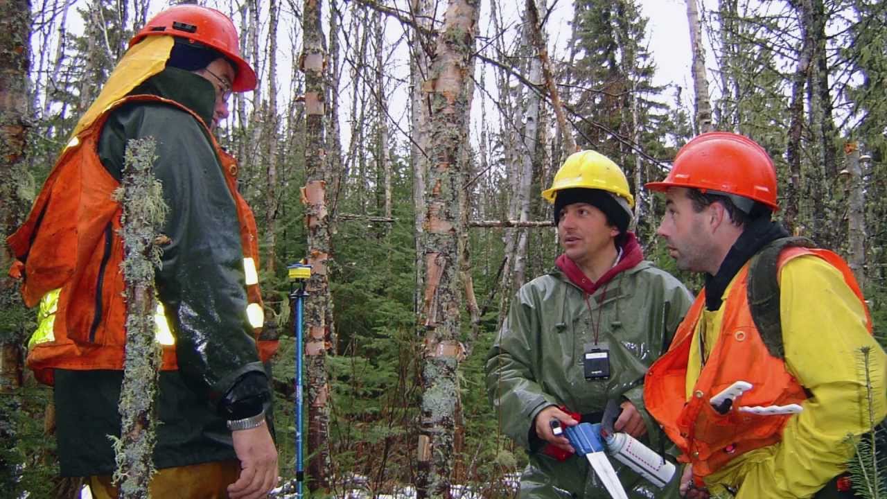 International Model Forest Network - 20th Anniversary