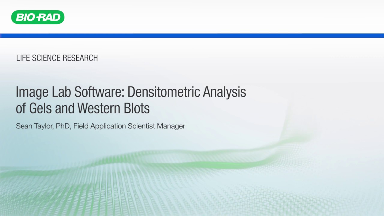 Image Lab Software: Densitometric Analysis of Gels and Western Blots